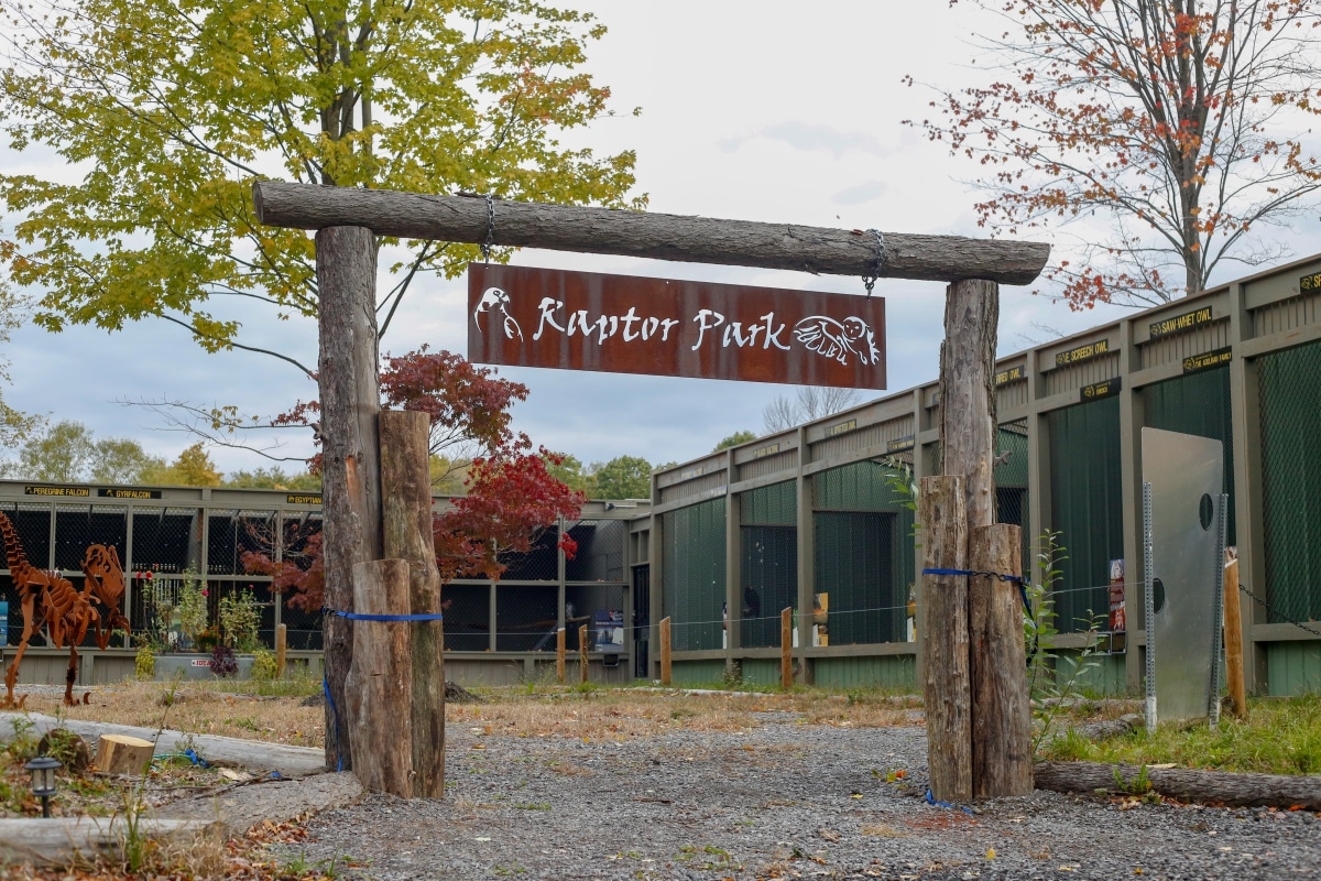 Building a New Wildlife Center - Hawk Creek Wildlife Center