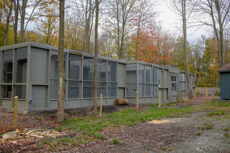 Facility - Hawk Creek Wildlife Center