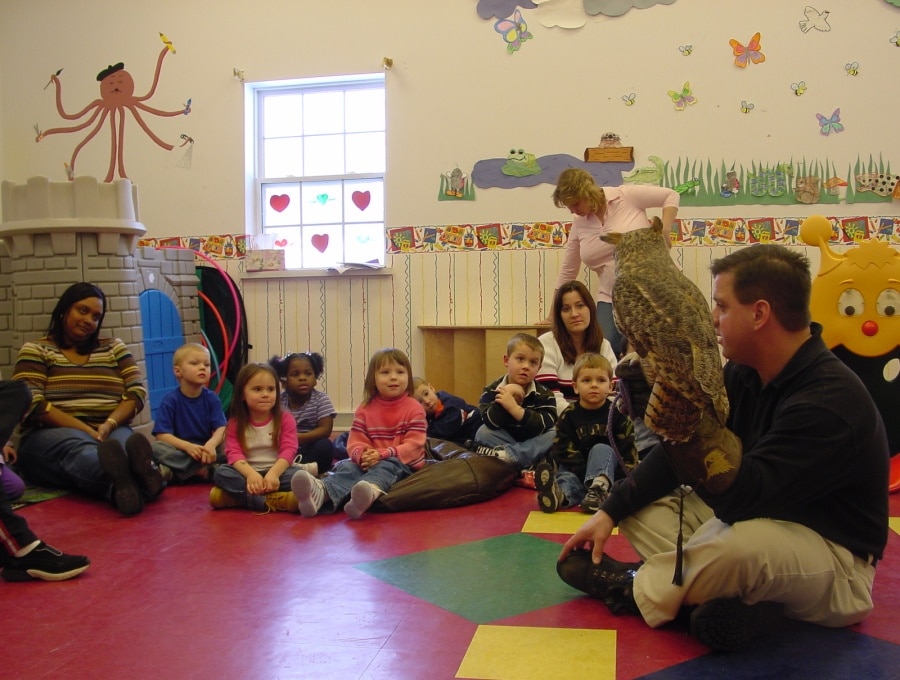 Home - Hawk Creek Wildlife Center