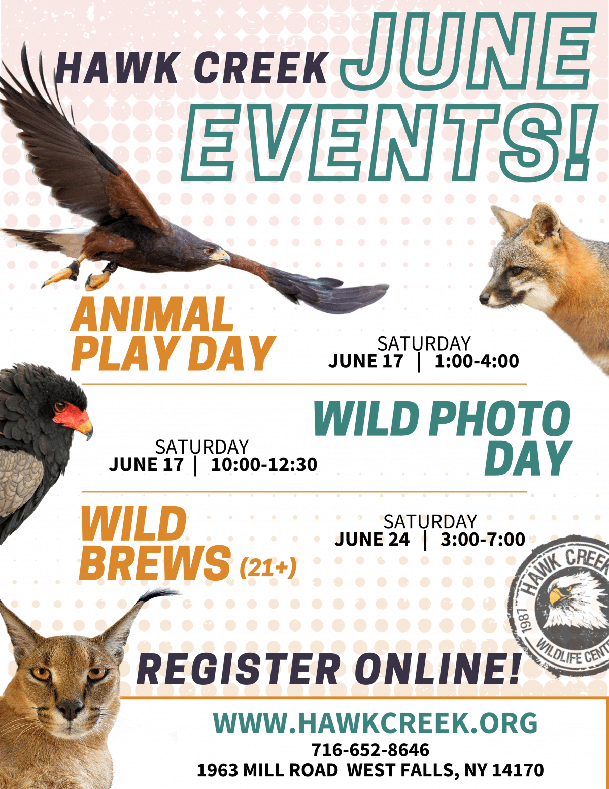 Three Hawk Creek events in June! - Hawk Creek Wildlife Center