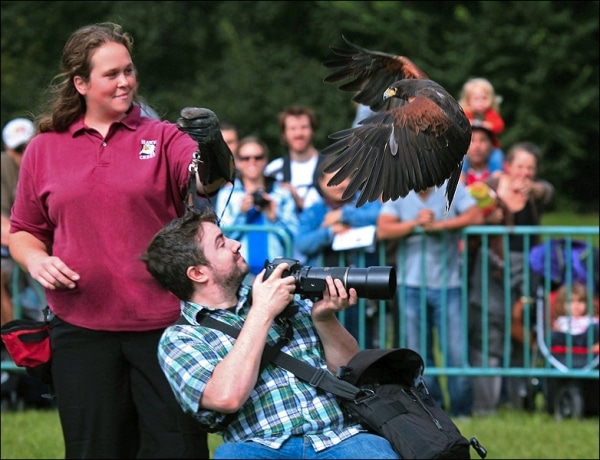 Enchanted Wild Fest - Hawk Creek Wildlife Center